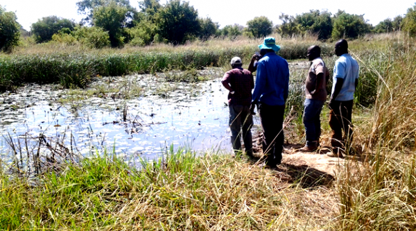 OVERVIEW OF BHUNGROO PROJECT – CONSERVATION ALLIANCE